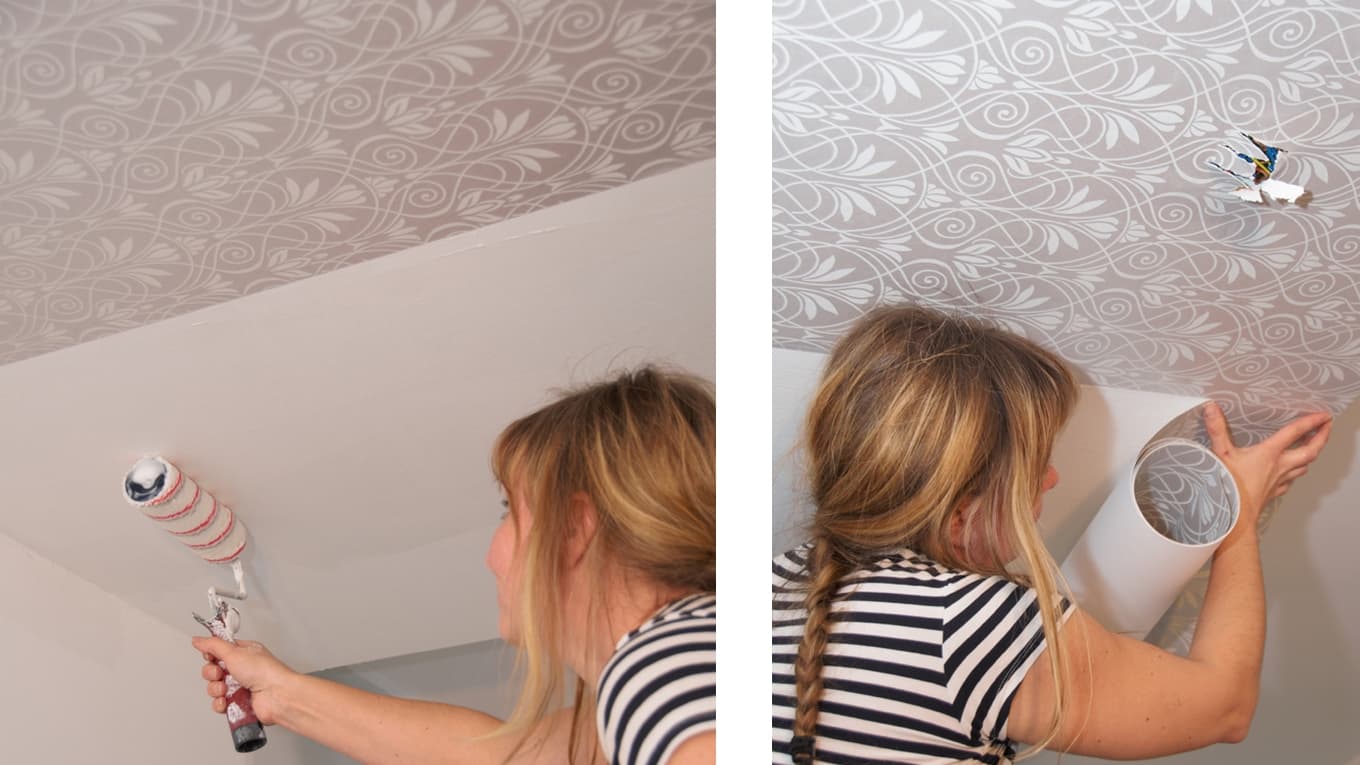 Paperitoukka: Pieni, mutta ilkeä tuholainen