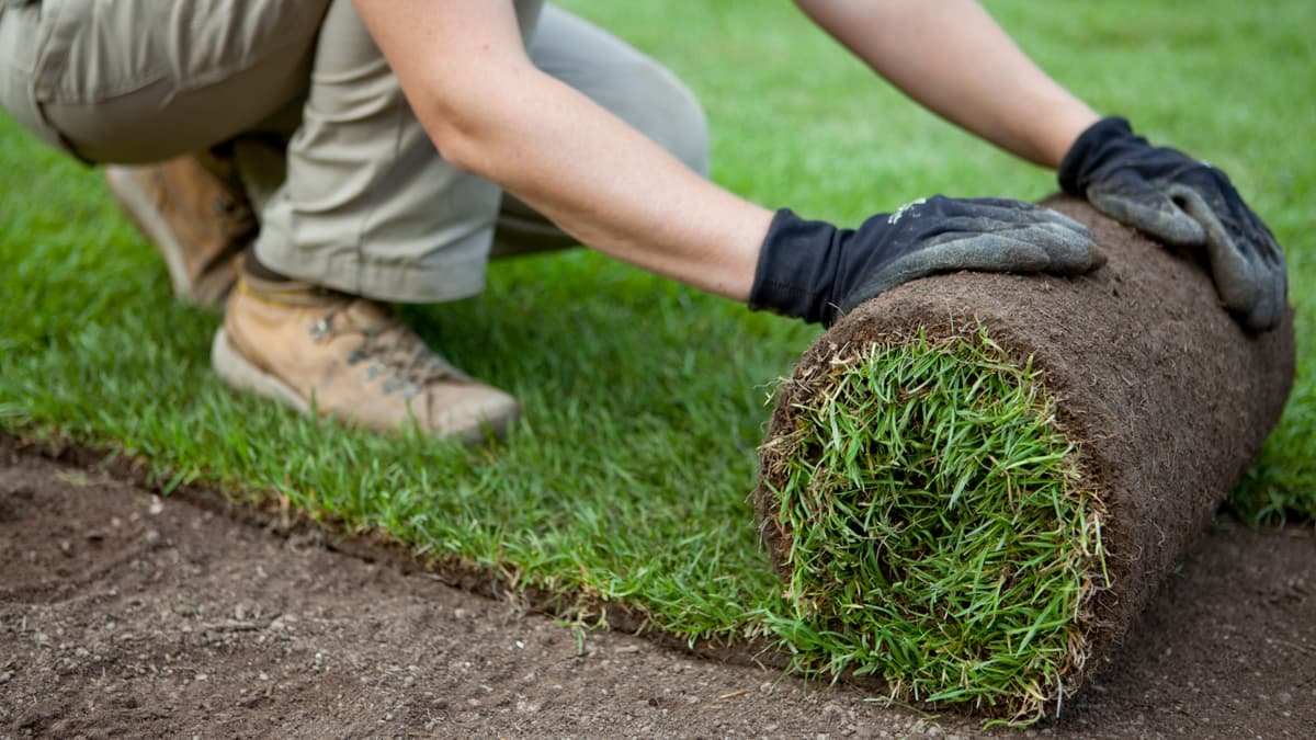Pilariperustus – Kevyt ja kestävä perustustapa