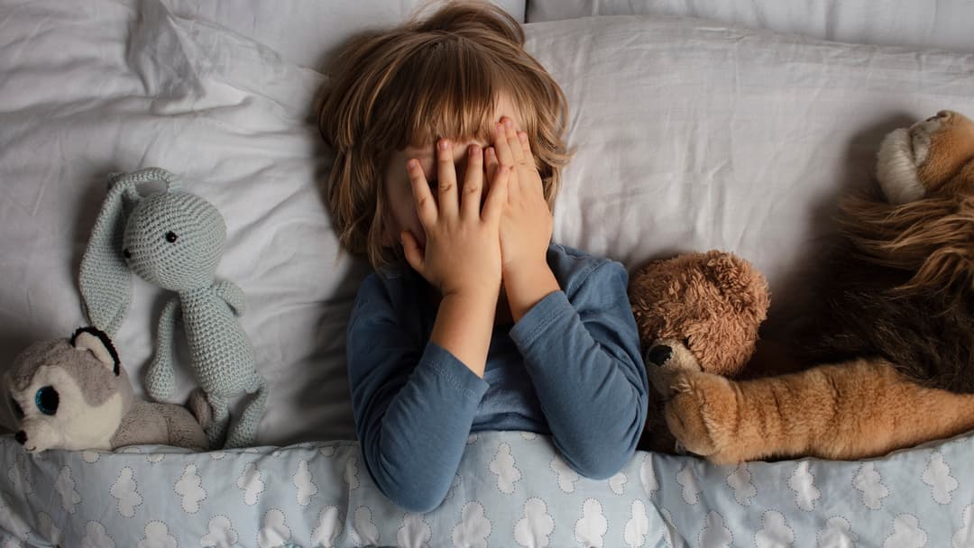 Paperitoukka: Pieni, mutta ilkeä tuholainen