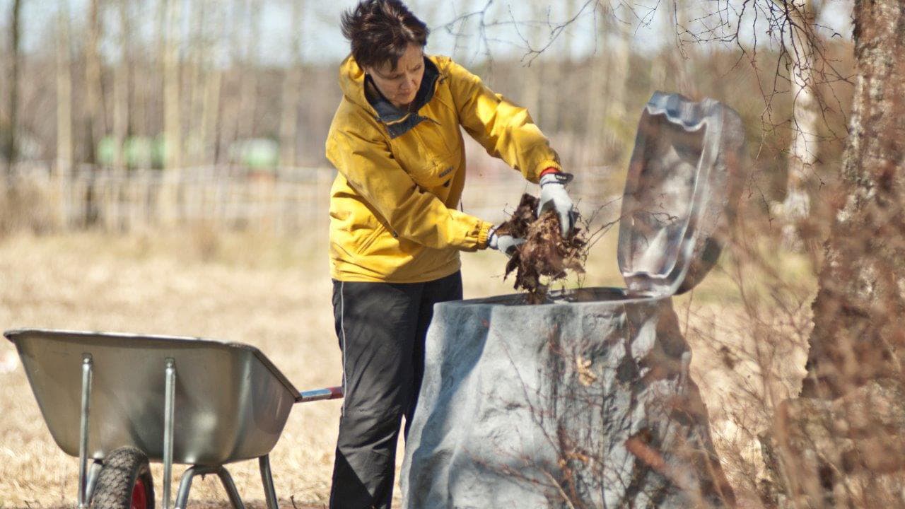 Paperitoukka: Pieni, mutta ilkeä tuholainen