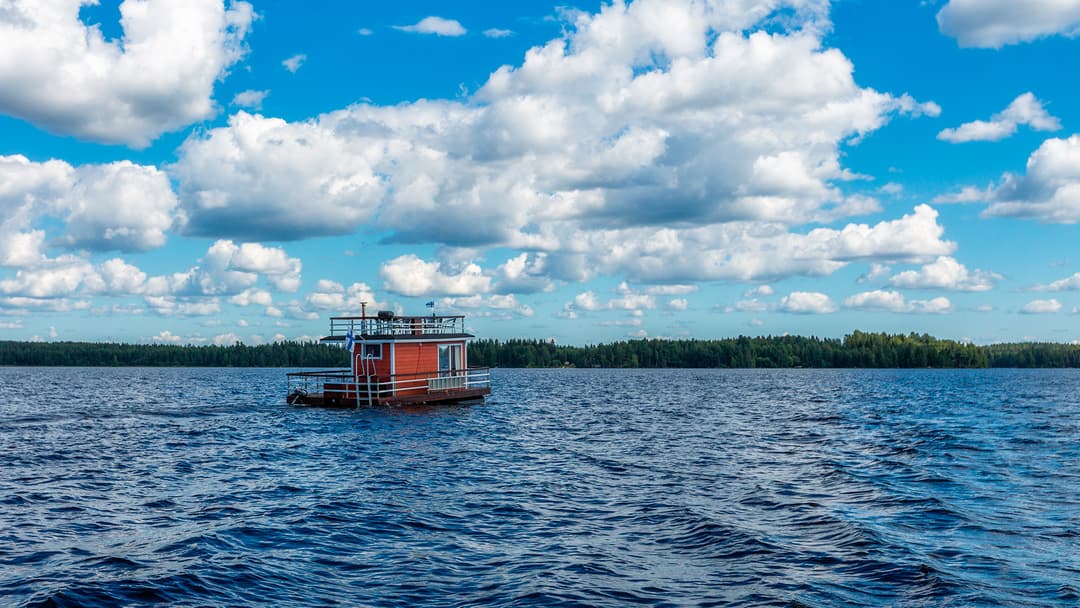 Paperitoukka: Pieni, mutta ilkeä tuholainen
